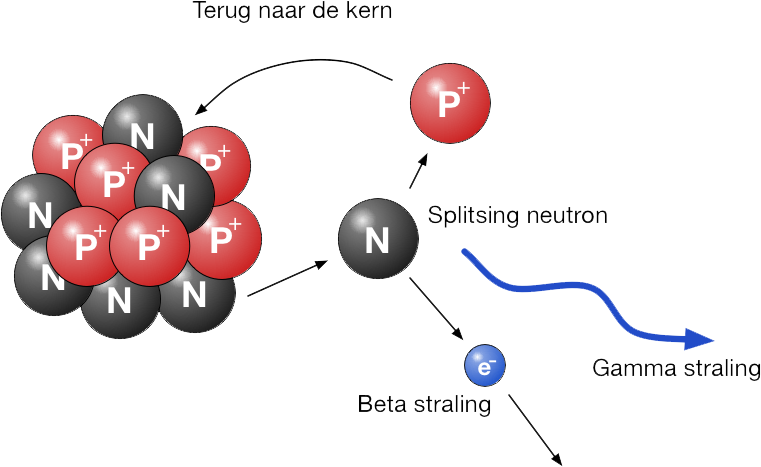 Aristotle: a book on Science
